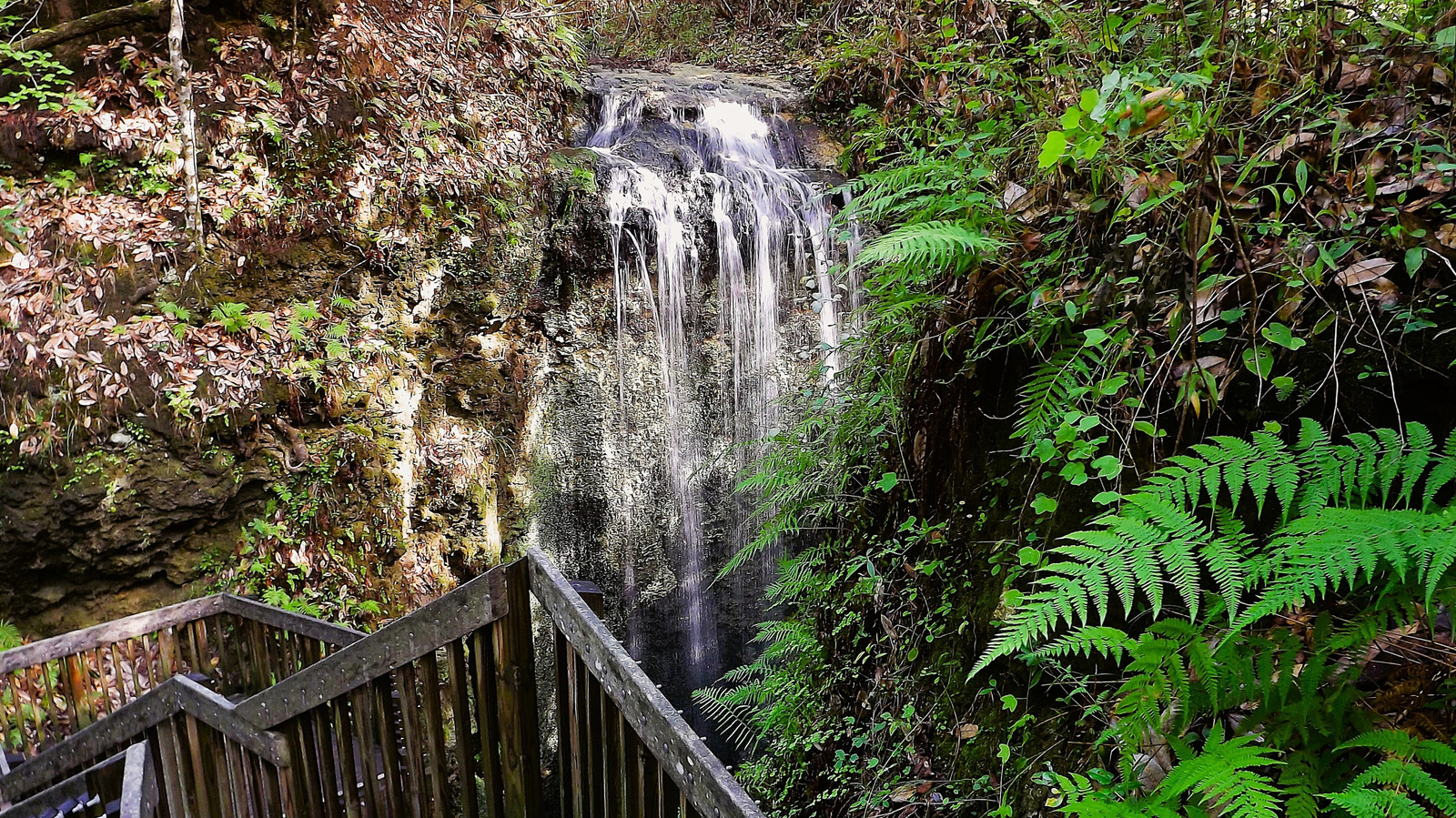 Florida's Tallest Waterfall Is On Full Display At This Stunning State Park