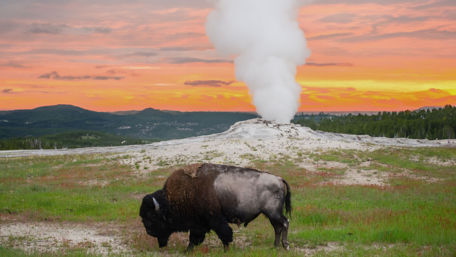 The World's First National Park Is A Mesmerizing Destination For Nature ...