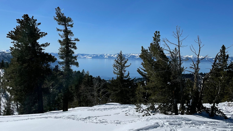 This Scenic Hiking Trail In The Sierra Nevada Mountains Offers A ...